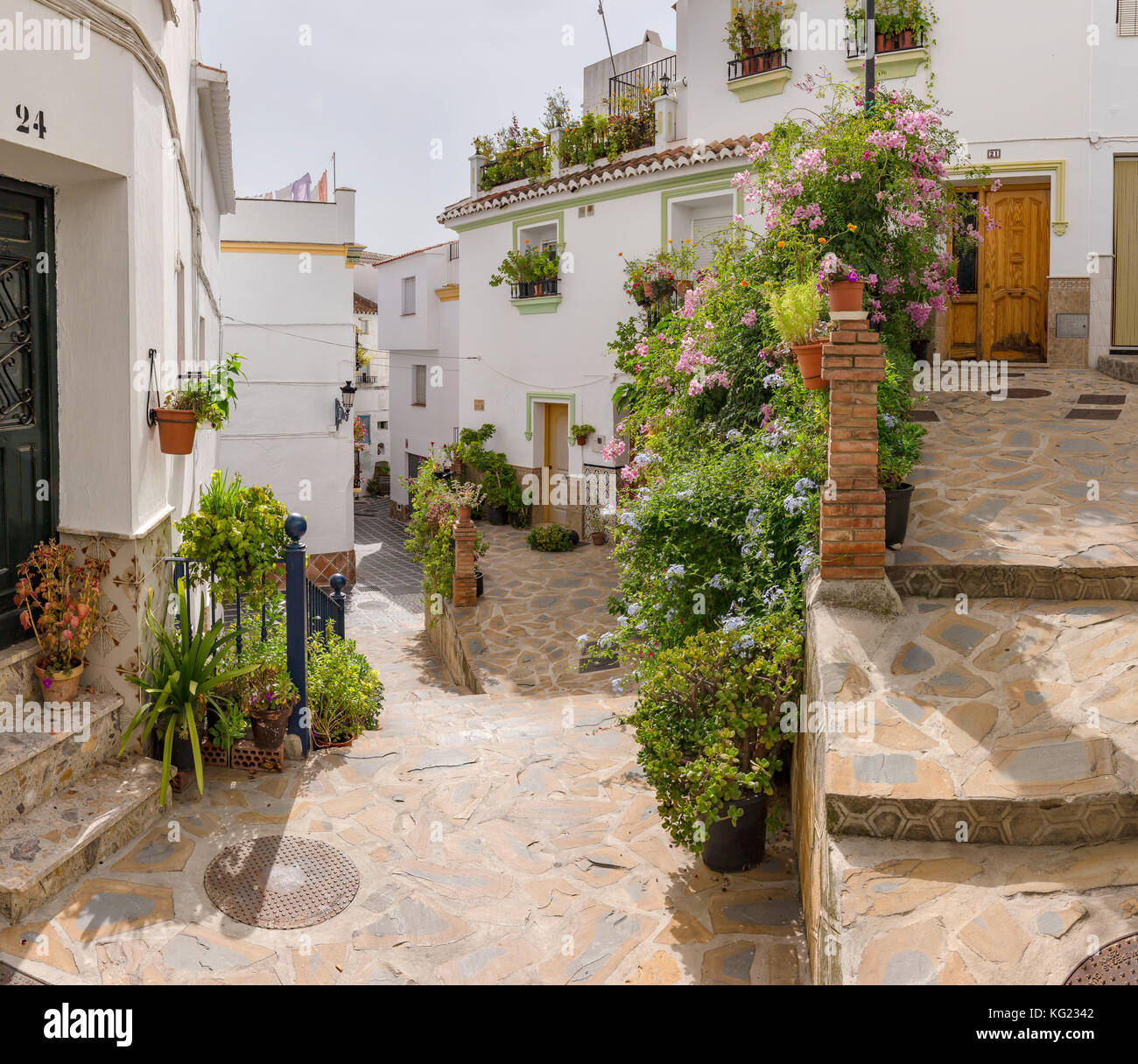 A street with lavish flowering pot plants in a white village, Competa ...