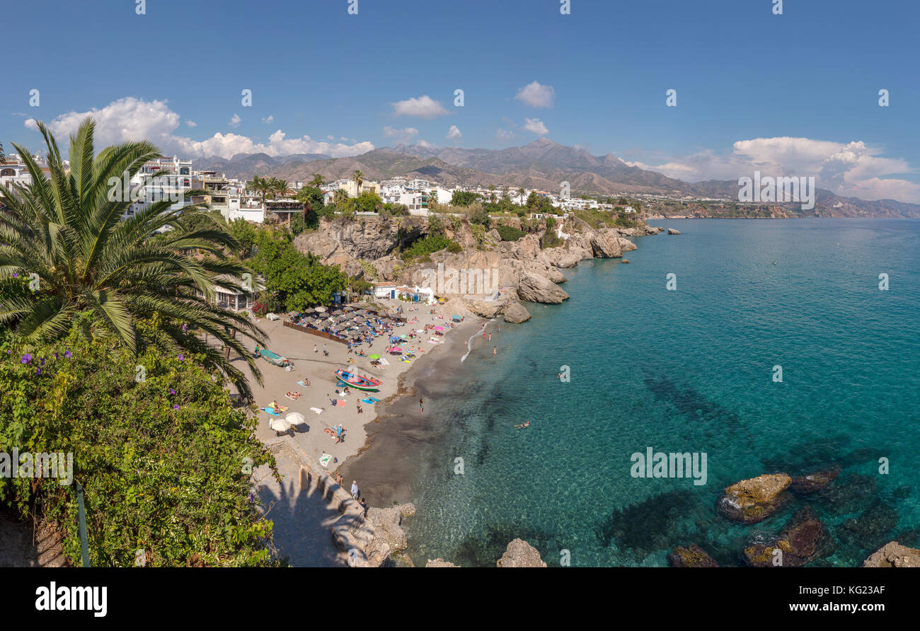 The palm trees of the Calahonda beach, Nerja, Spain *** Local Caption ...