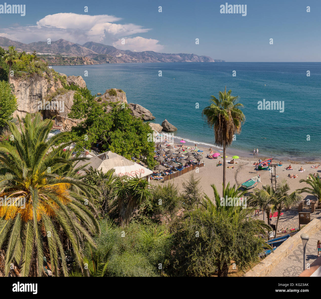 The palm trees of the Calahonda beach, Nerja, Spain *** Local Caption ...