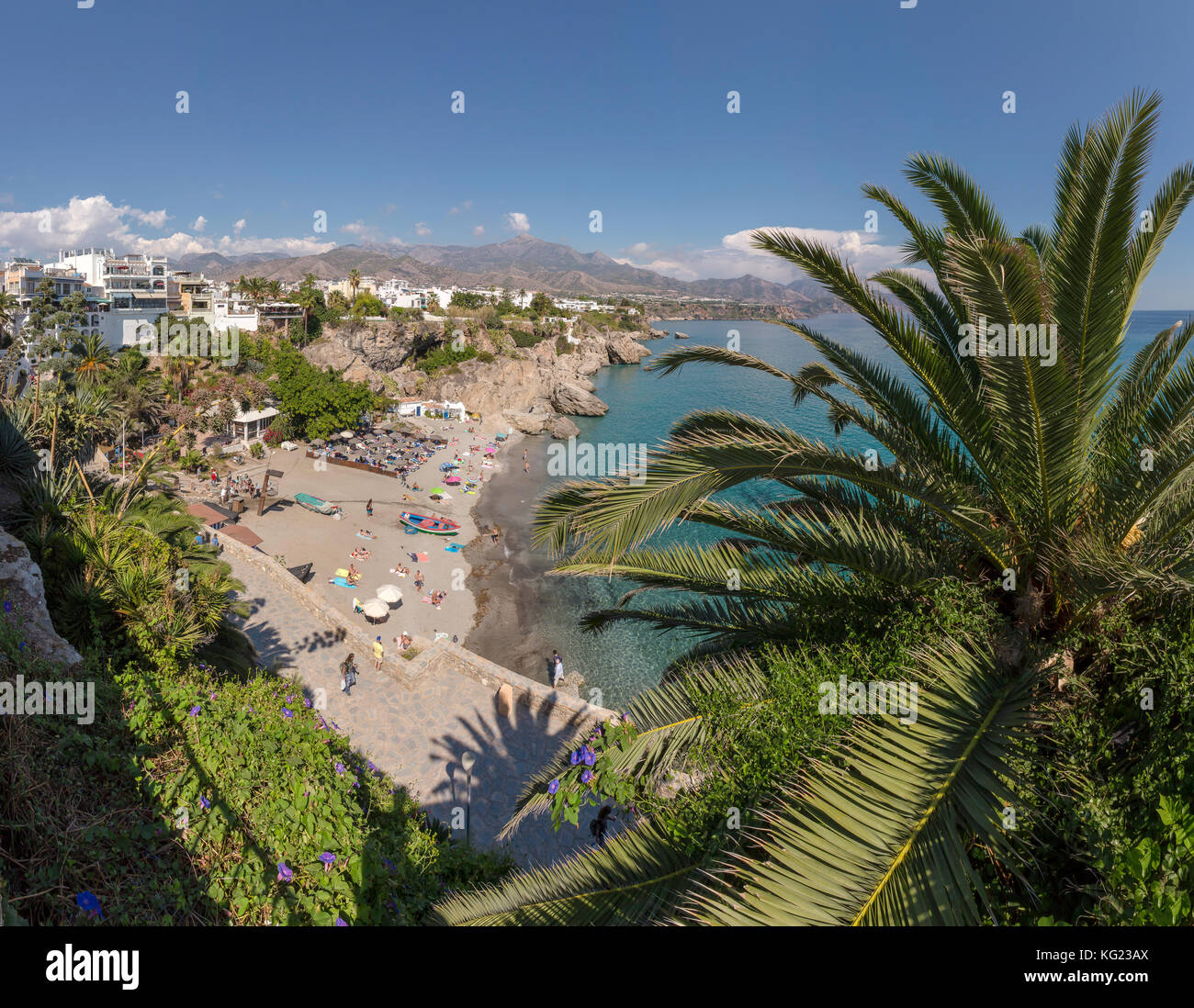 The palm trees of the Calahonda beach, Nerja, Spain *** Local Caption ...
