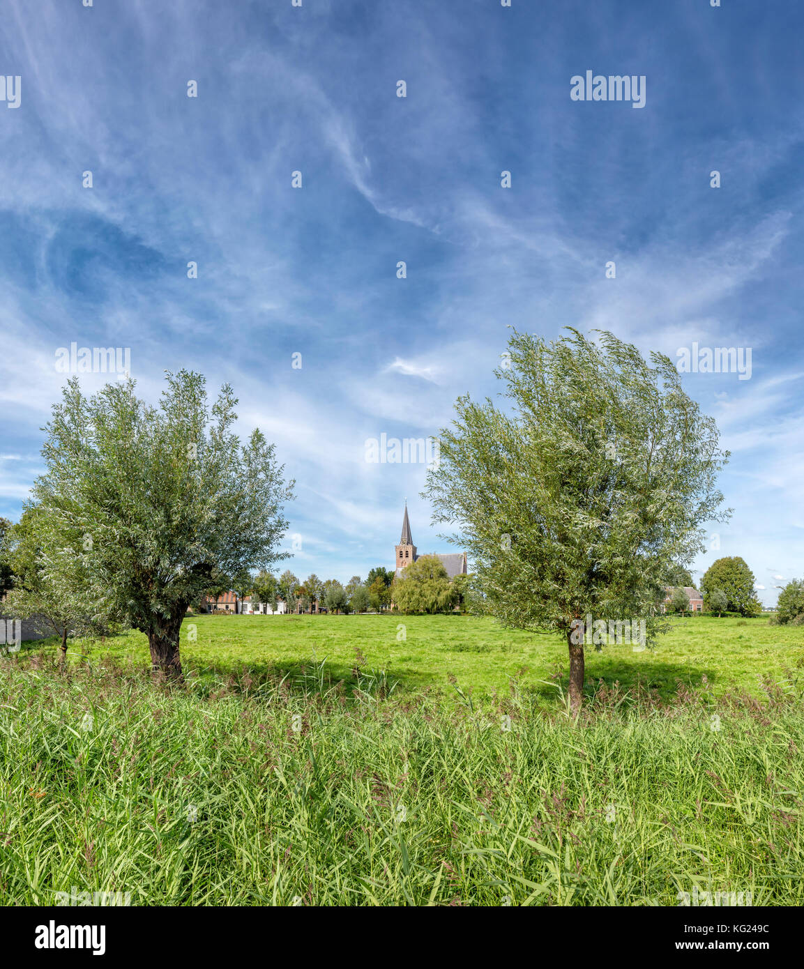 Su pollard holland hi-res stock photography and images - Alamy