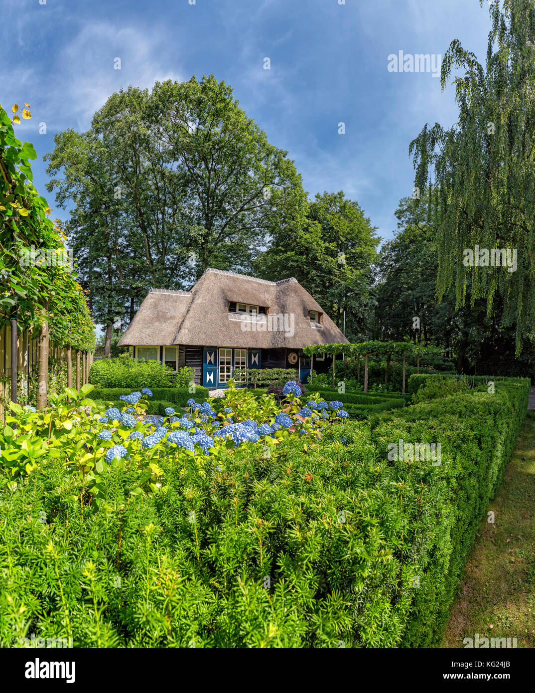 Thatched cottage with flower garden Coevorden, Drenthe, Netherlands ...