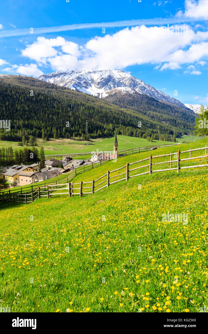 Alpine village of S-chanf surrounded by green meadows in spring, Canton ...