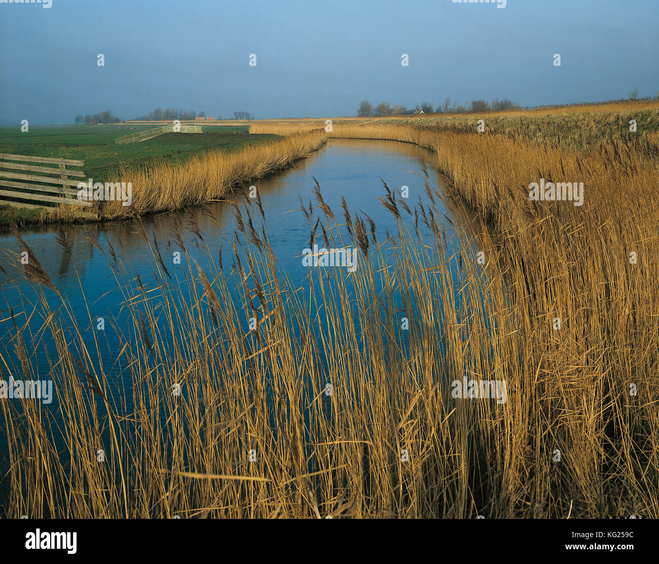 A dike along a canal West Graftdijk, Noord-Holland, Netherlands ...
