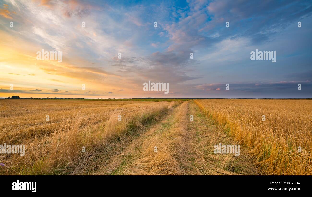 Beautiful sunset over sandy road through fields. Beautiful rural scene ...