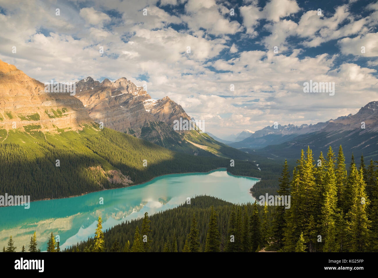 Wide view of Peyto Lake, Banff National Park, UNESCO World Heritage ...