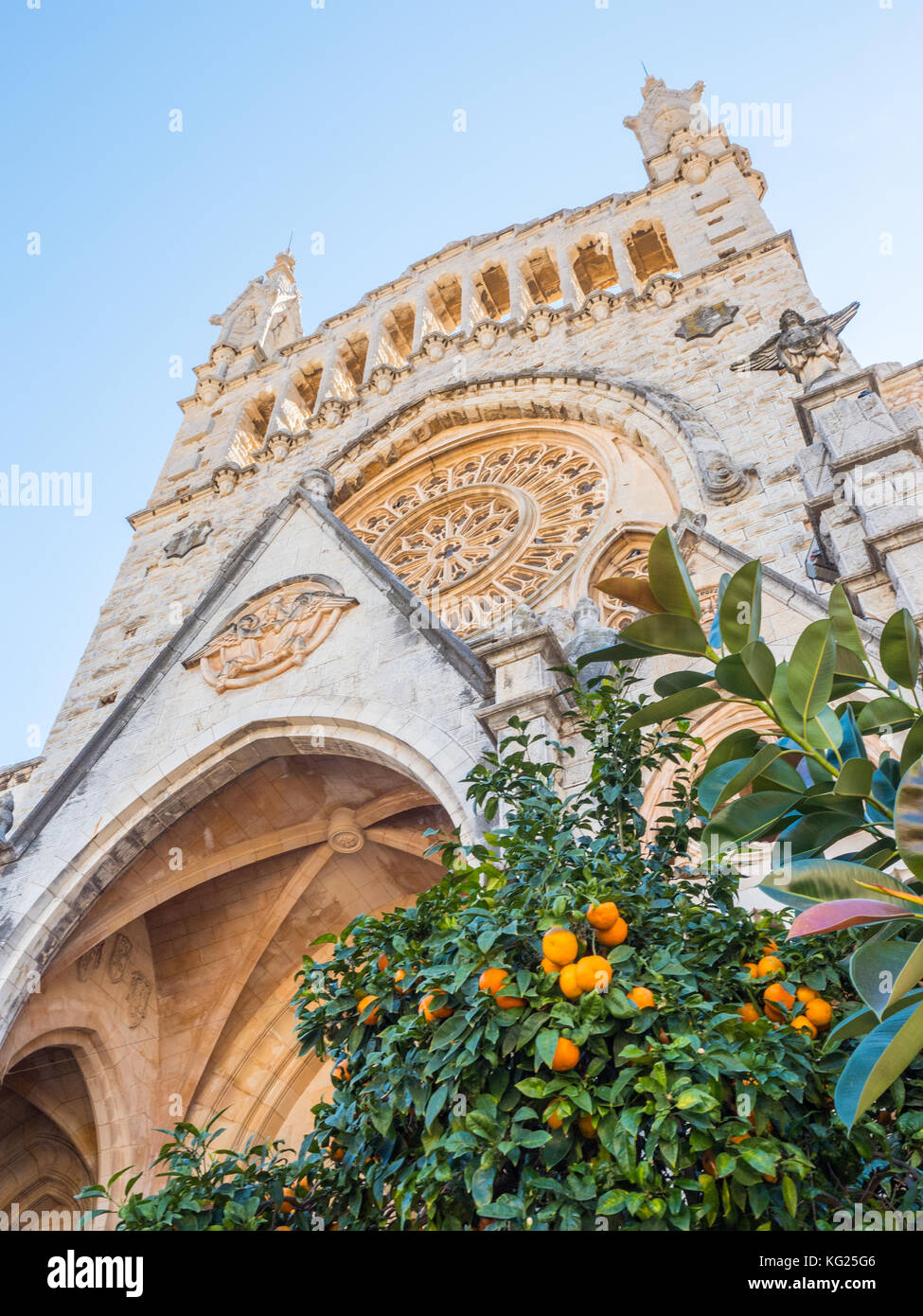 Church and orange trees, Soller, Mallorca, Balearic Islands, Spain ...