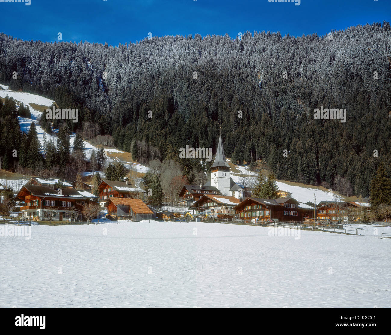 Simmental, Ried bei Lenk, Schweiz, Switzerland *** Local Caption ...