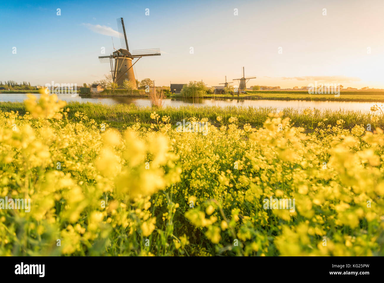 Yellow windmill hi-res stock photography and images - Alamy