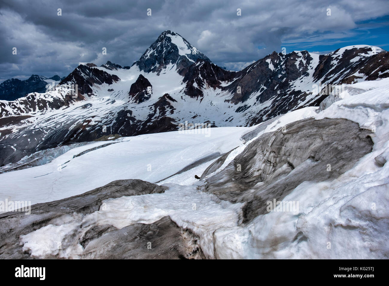 Mount Gran Zebru in early summer, Valfurva, Lombardy, Italy, Europe ...
