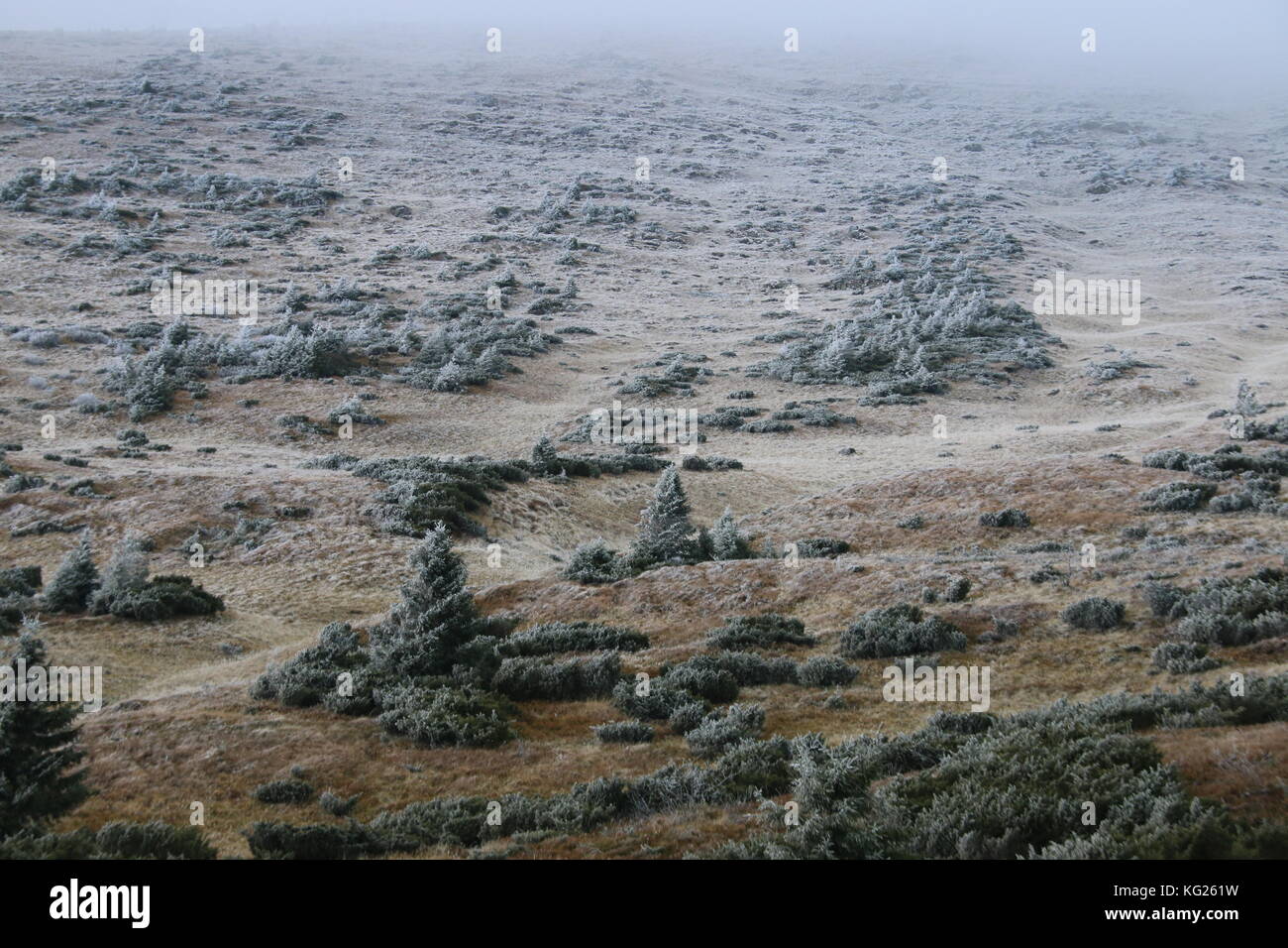 Bush covered slope hi-res stock photography and images - Alamy