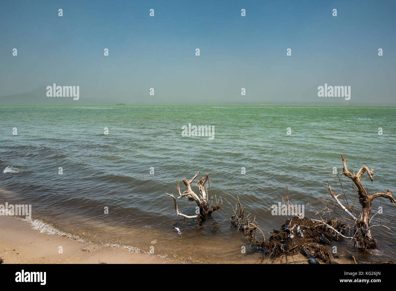 Salt Lake Afrera, Danakil depression, Ethiopia, Africa Stock Photo - Alamy