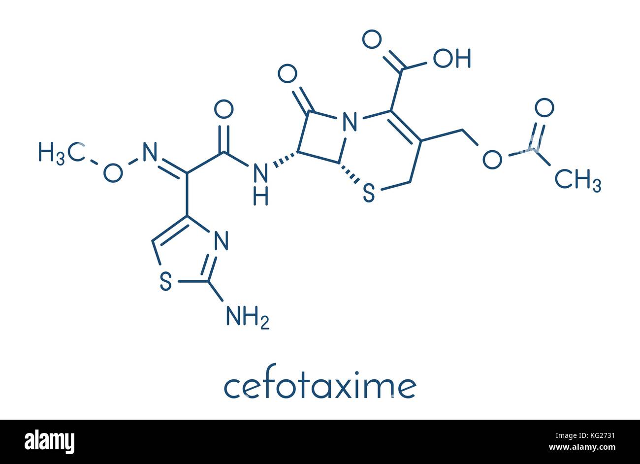 Cefotaxime antibiotic drug molecule (cephalosporin, third Stock Vector ...