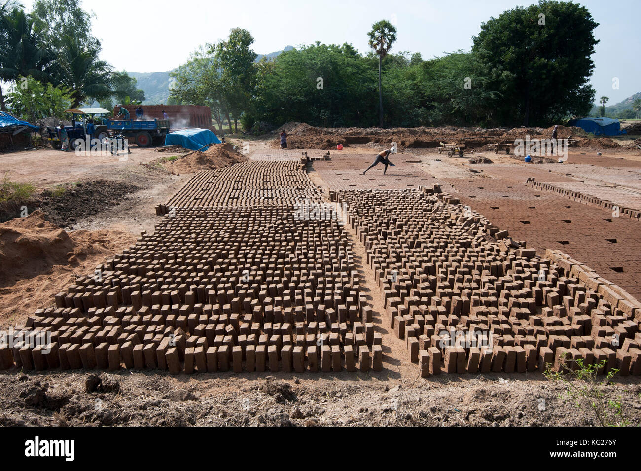 Handmade bricks made from roadside clay and left to dry in the sun ...