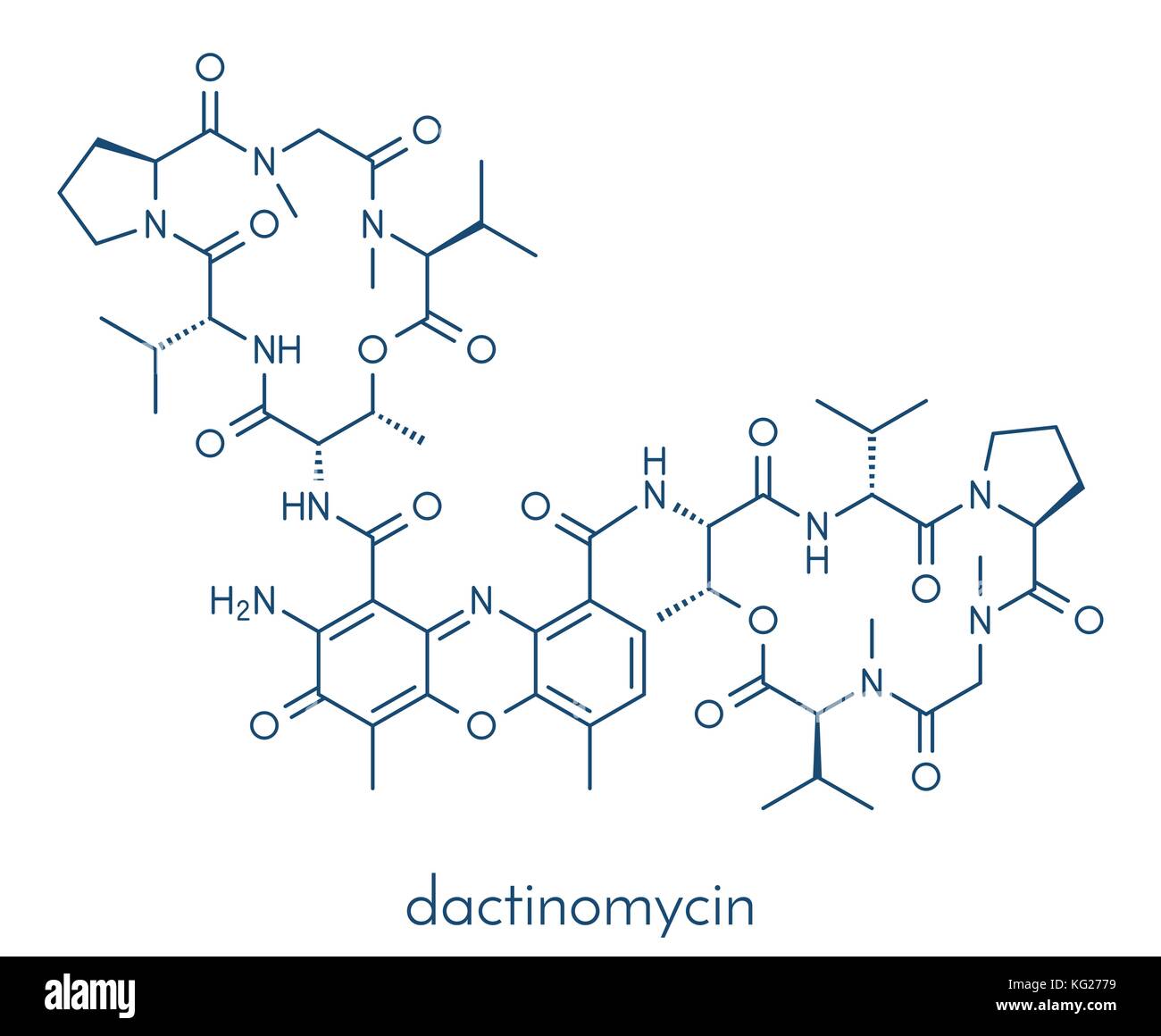 Streptomyces bacteria hi-res stock photography and images - Alamy