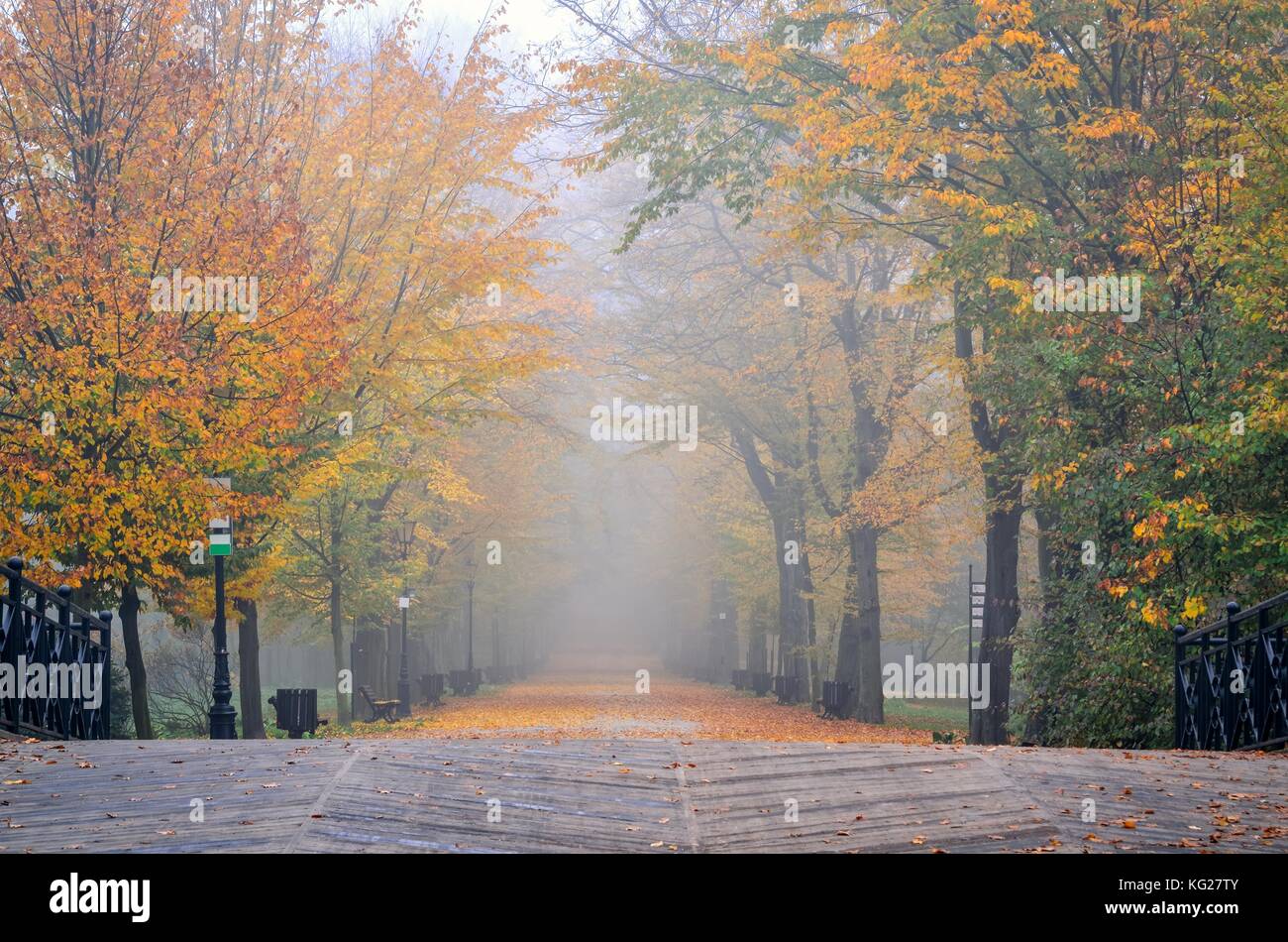 Beautiful autumn landscape. Walkway with autumn colored leaves in the ...