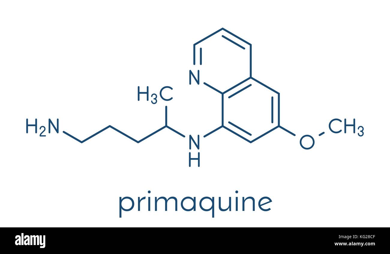 Primaquine malaria drug molecule. Skeletal formula Stock Vector Image ...