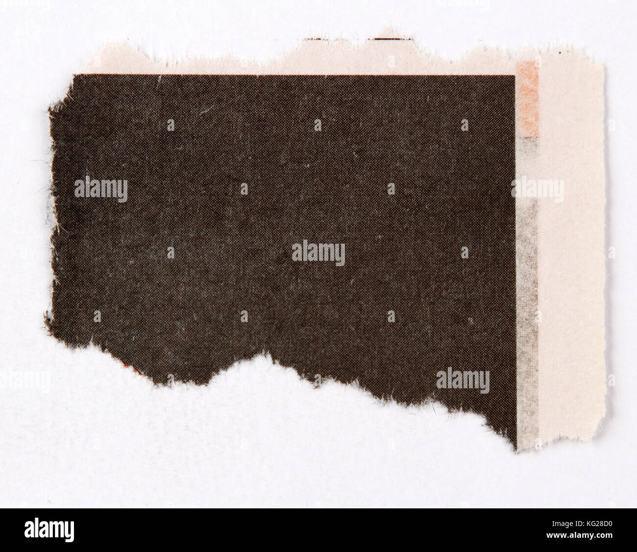 Piece of torn paper on plain background Stock Photo - Alamy