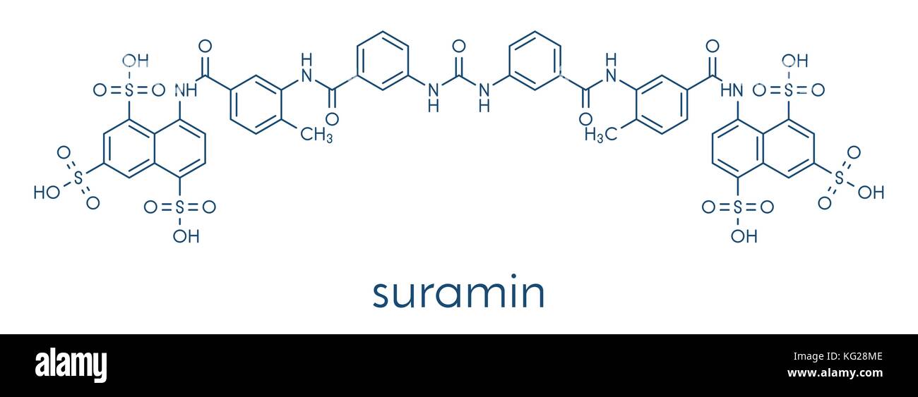 Suramin sleeping sickness drug molecule. Skeletal formula Stock Vector ...