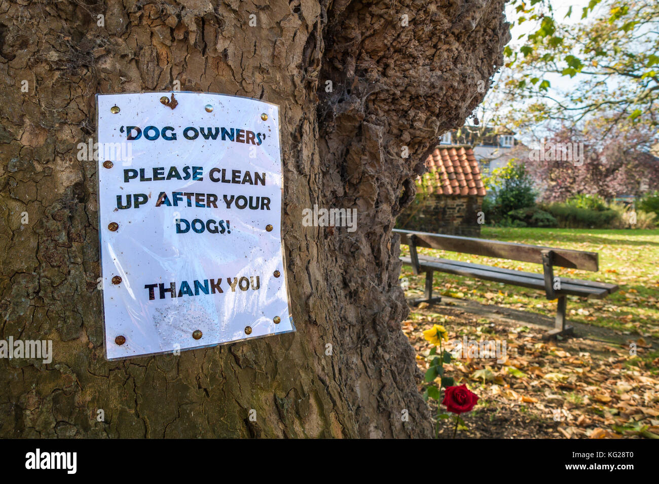 Dog mess notice hi-res stock photography and images - Alamy