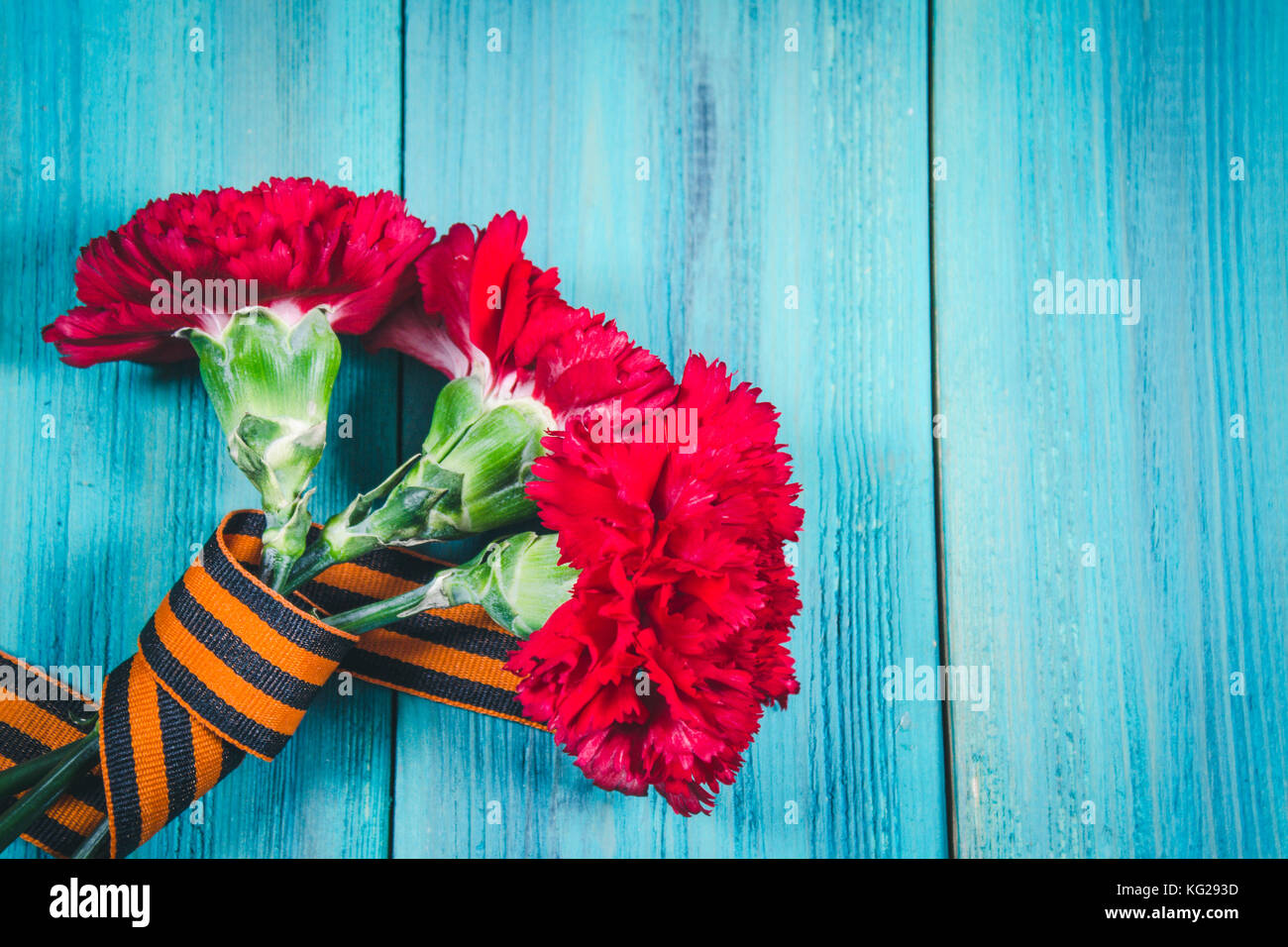 Carnation tied ribbon hi-res stock photography and images - Alamy