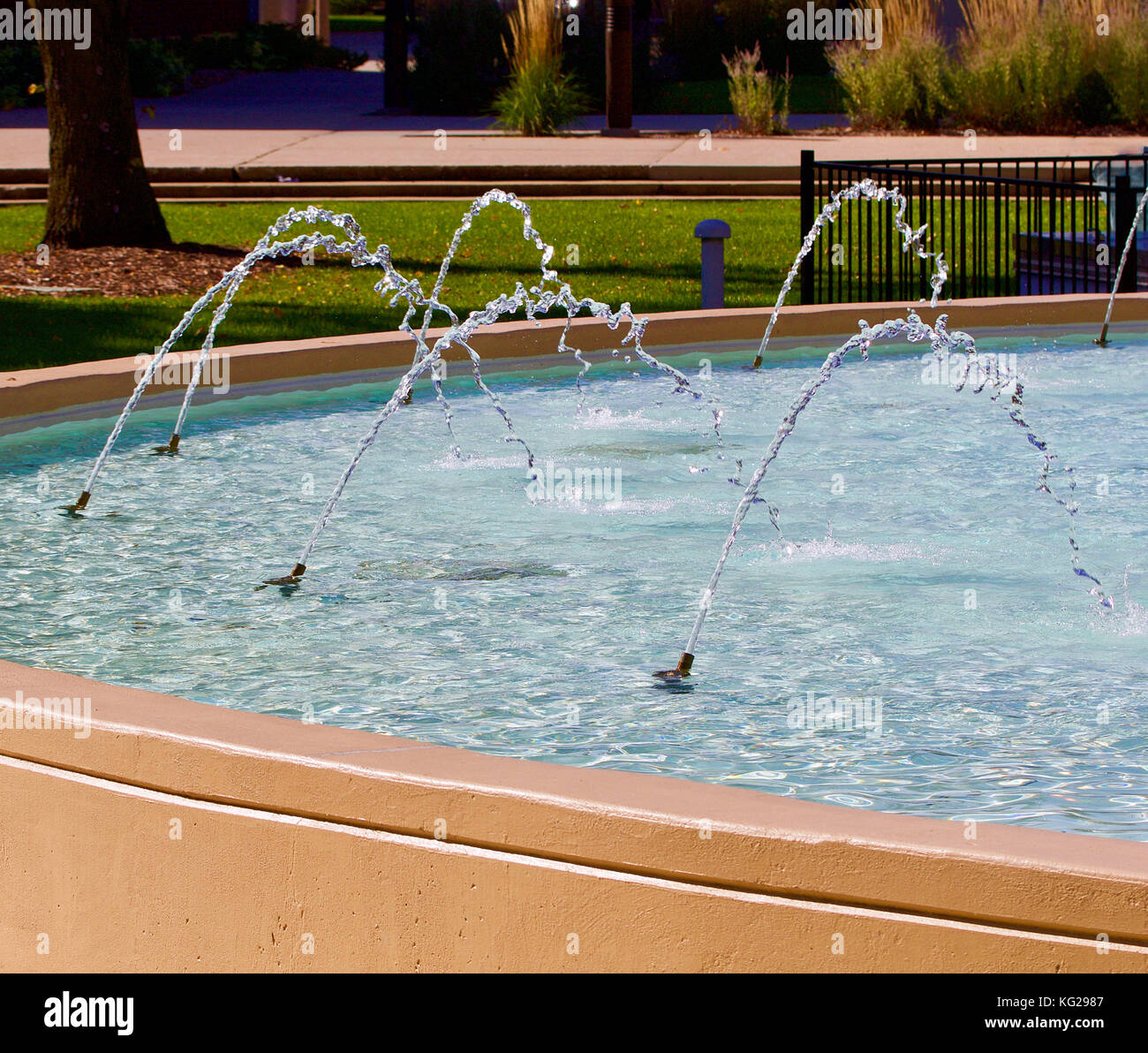 Water fountain arcs Stock Photo - Alamy