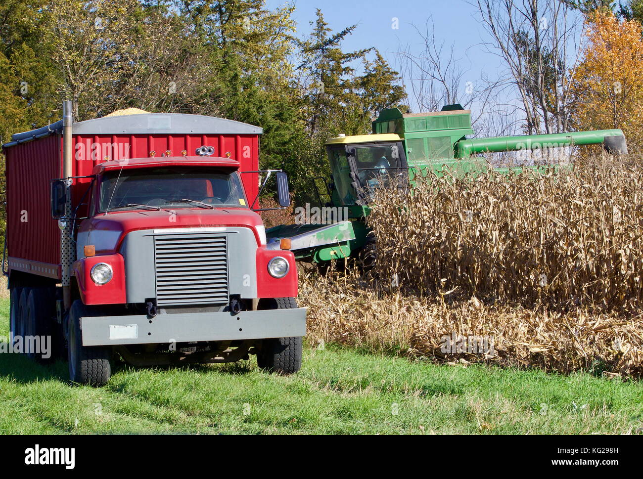 Midwest corn harvest Stock Photo - Alamy