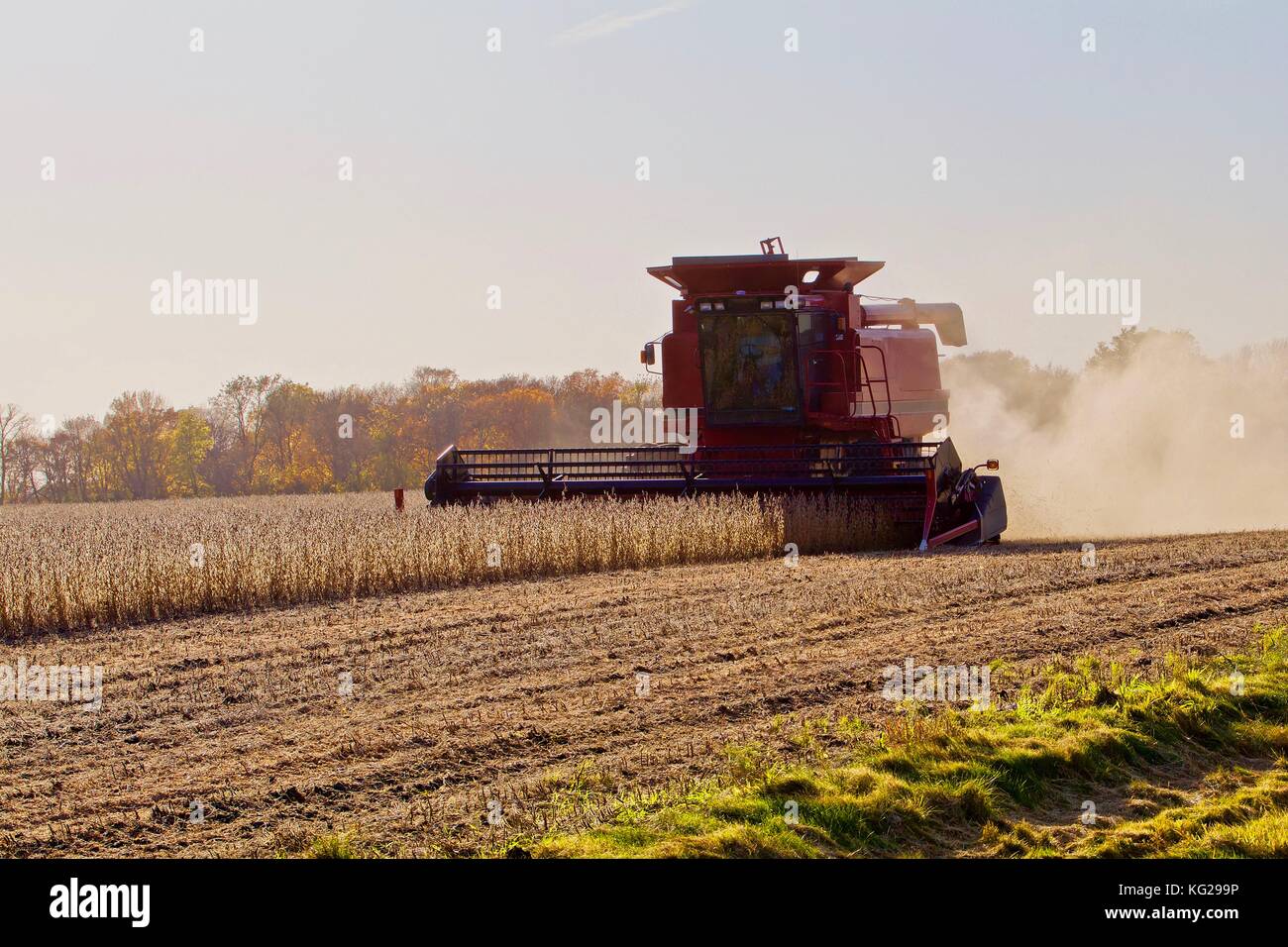 Combine harvesting soy beans hi-res stock photography and images - Alamy