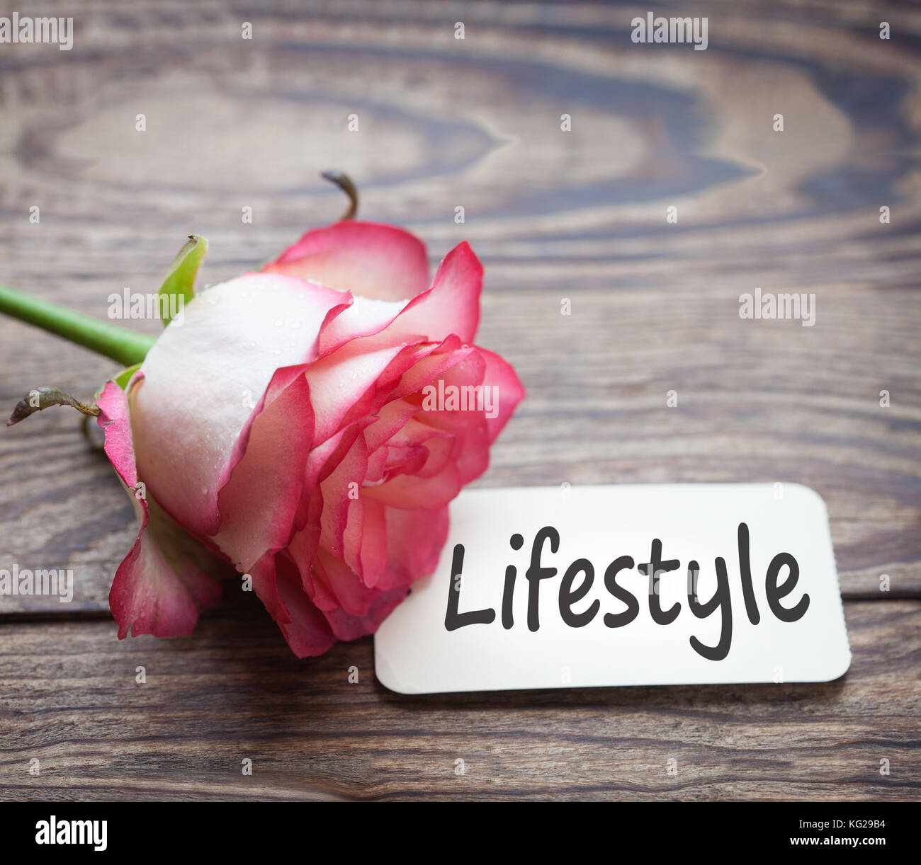 Pink beautiful rose and card for writing on the vintage wooden table ...