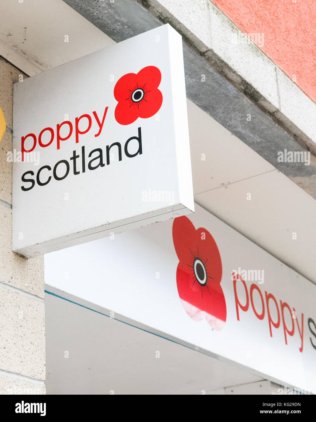 Poppyscotland High Resolution Stock Photography and Images - Alamy