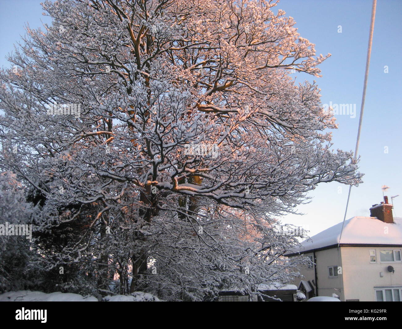 Hallgate High Resolution Stock Photography and Images - Alamy