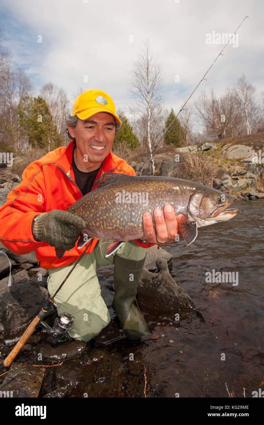 Smiling man hoists big brook trout Stock Photo - Alamy