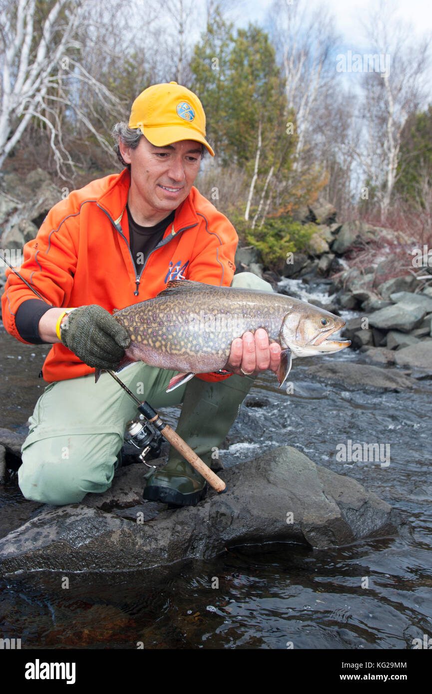 Man hoists big brook trout Stock Photo - Alamy