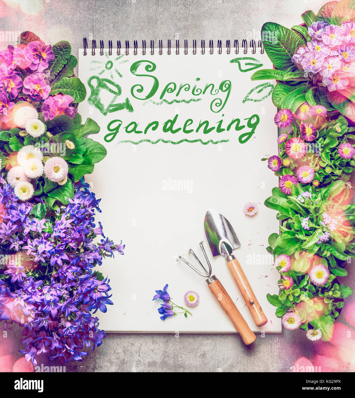 Floral Gardening background with assortment of colorful garden flowers ...