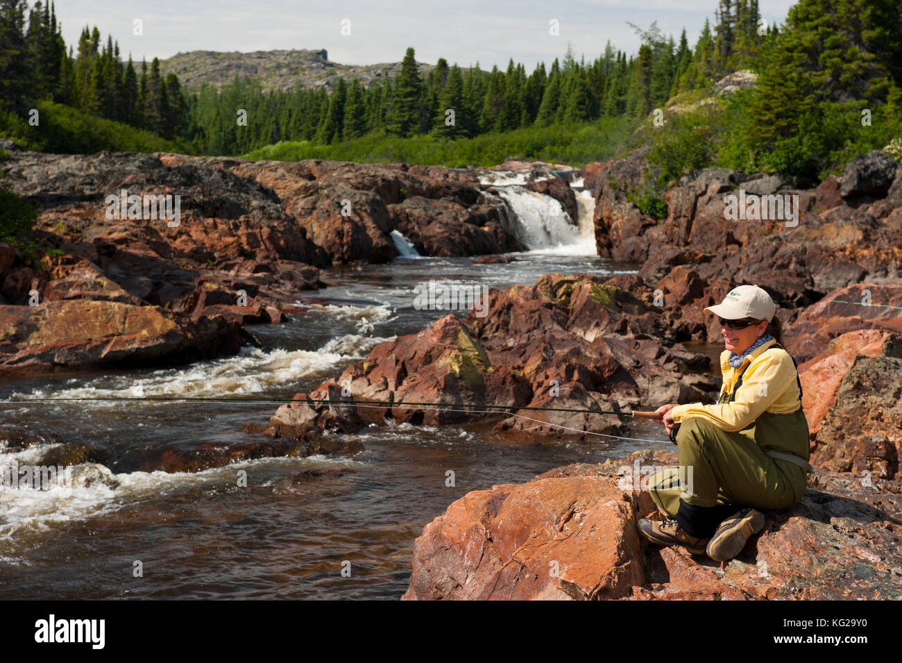 Woman flyfishing brook trout in Labrador Stock Photo - Alamy