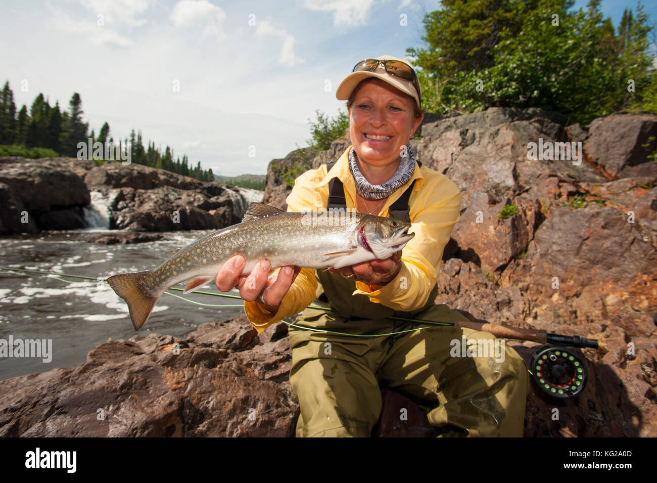 Beautiful woman fly fishing for brook trout Stock Photo - Alamy