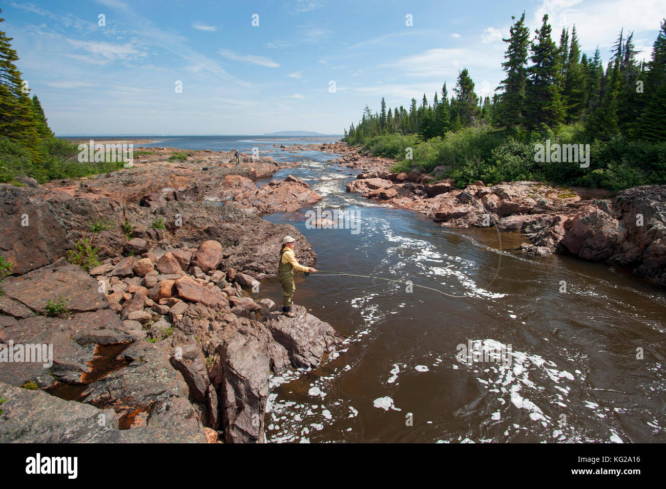Small brook trout River in Labrador Stock Photo - Alamy
