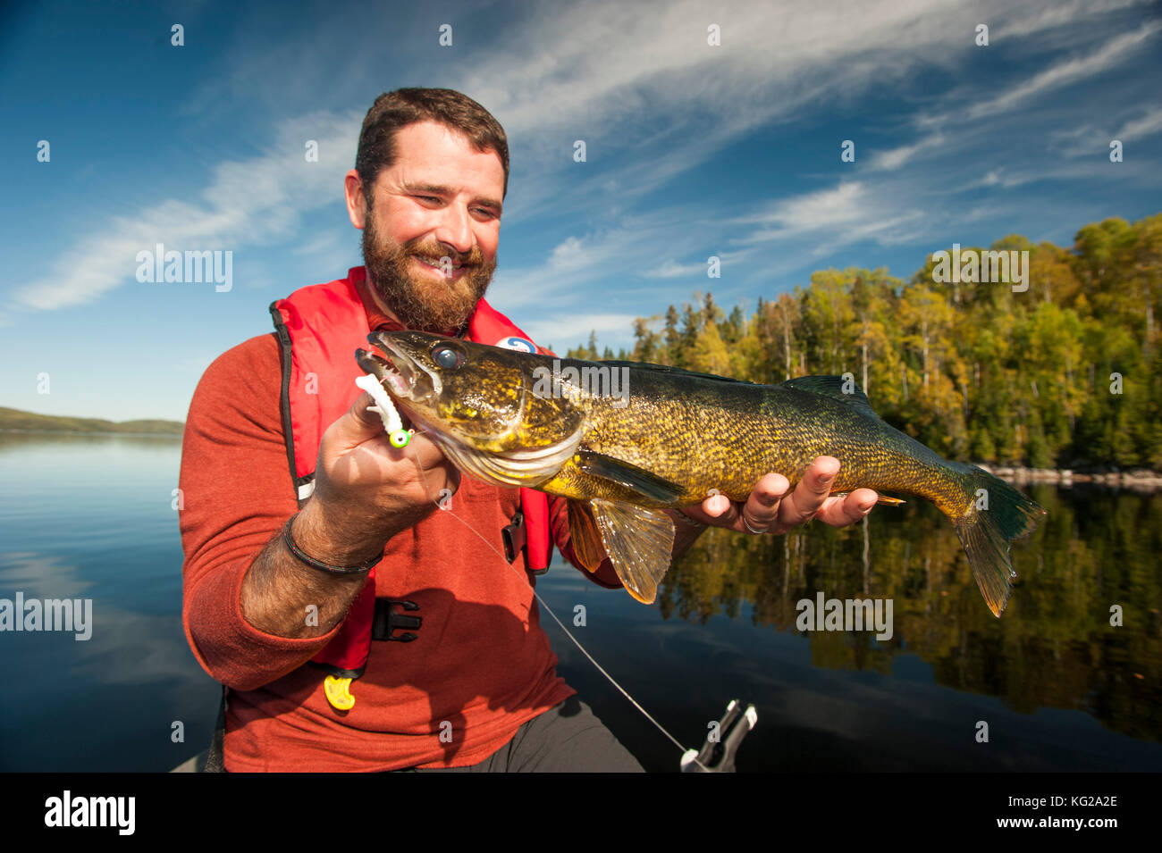 Smiling man holding big walleye Stock Photo - Alamy