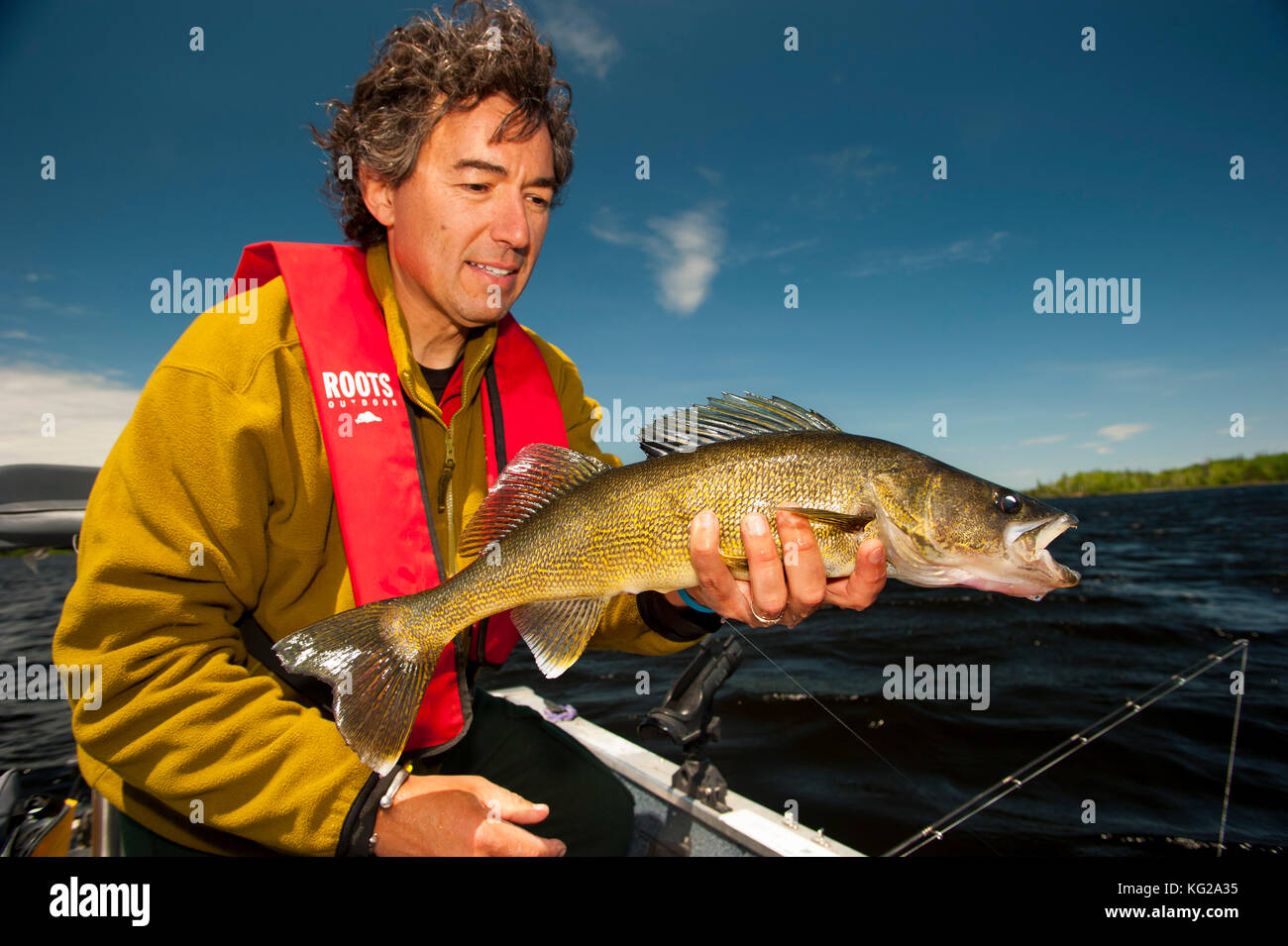 Proud angler hoisting large walleye Stock Photo - Alamy