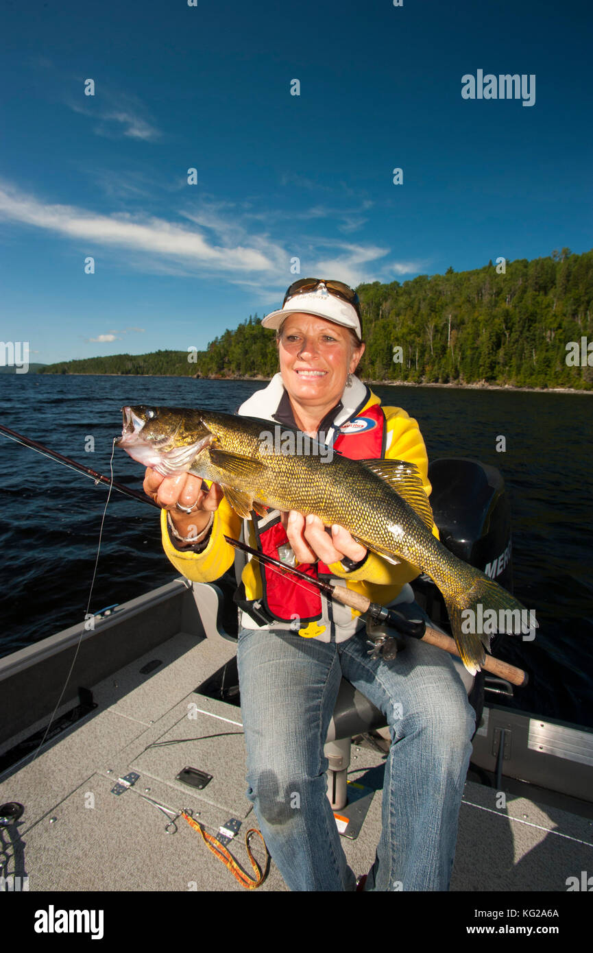 Female angler catches beautiful walleye on summer day Stock Photo - Alamy
