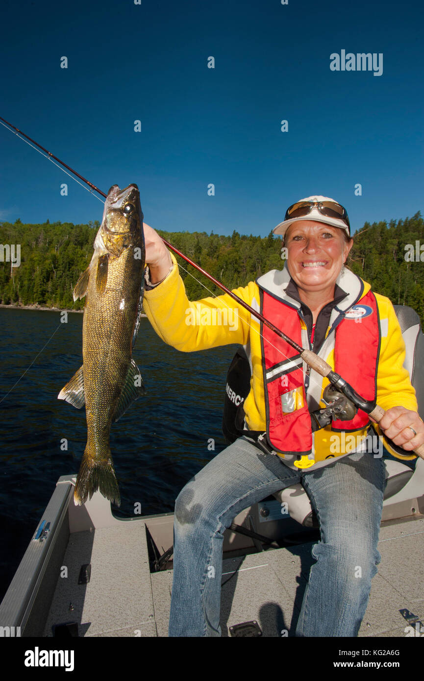 Female angler catches beautiful walleye on summer day Stock Photo - Alamy