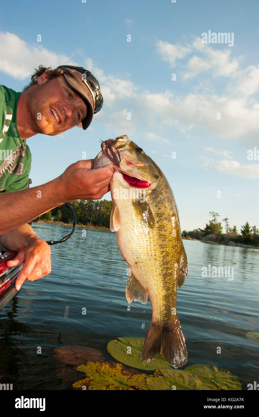 Man hoisting largemouth bass Stock Photo - Alamy