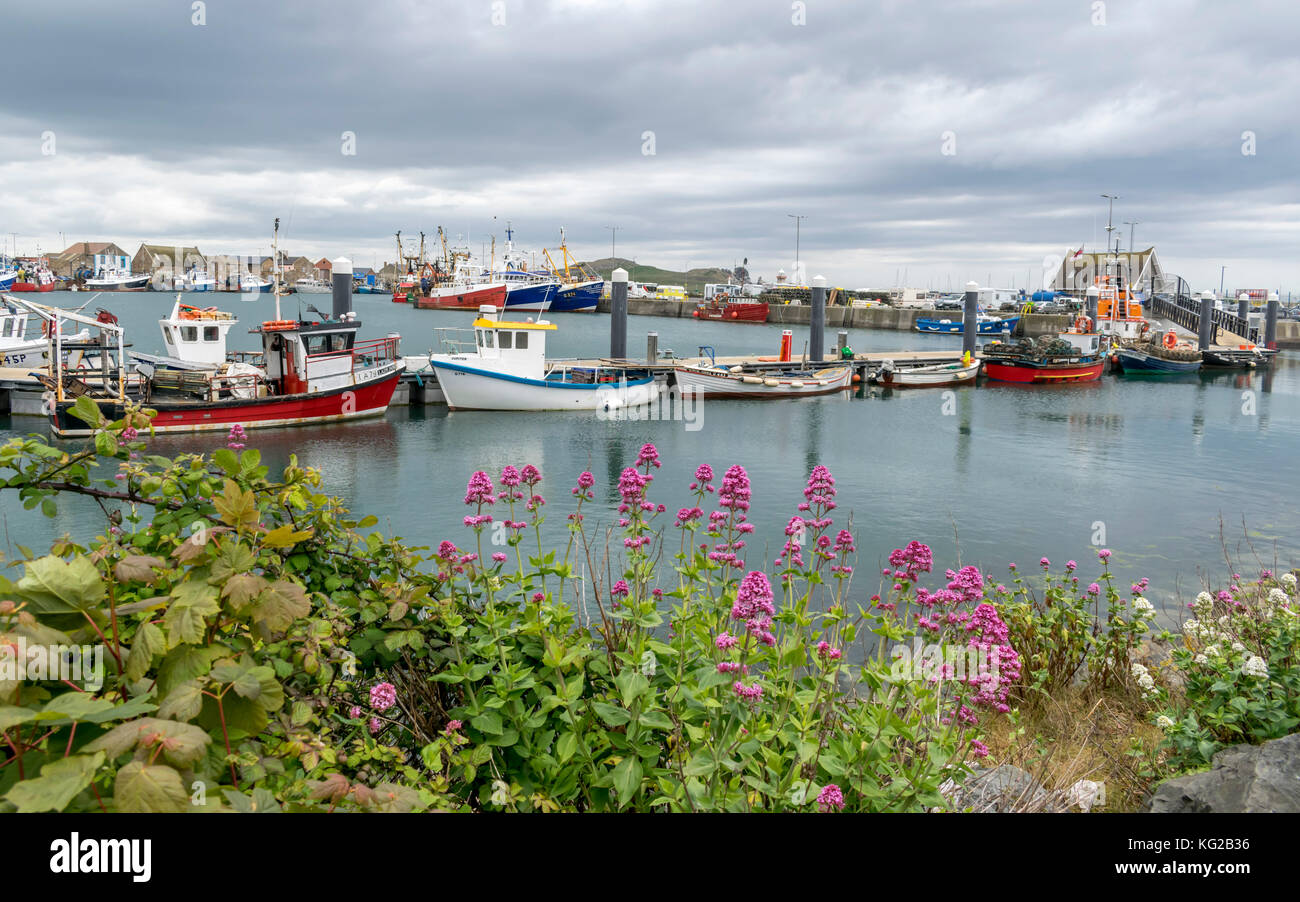 Howth Harbour Dublin Stock Photo - Alamy