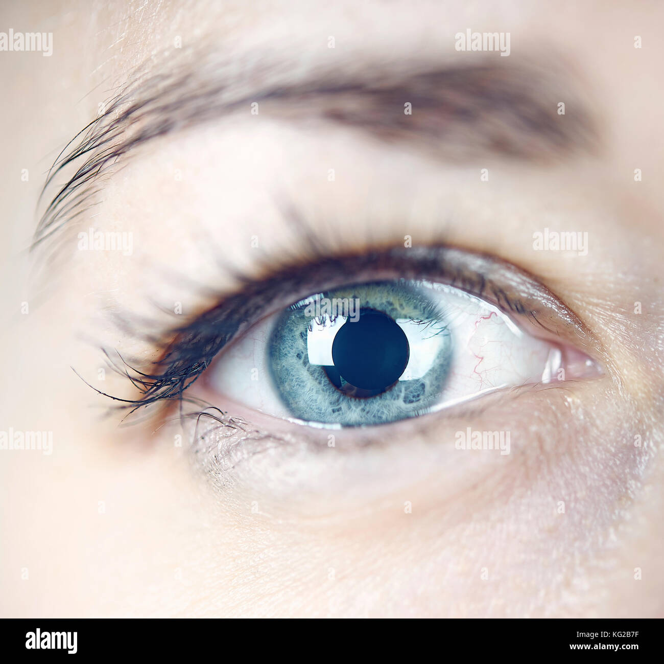 female blue eye close up Stock Photo - Alamy