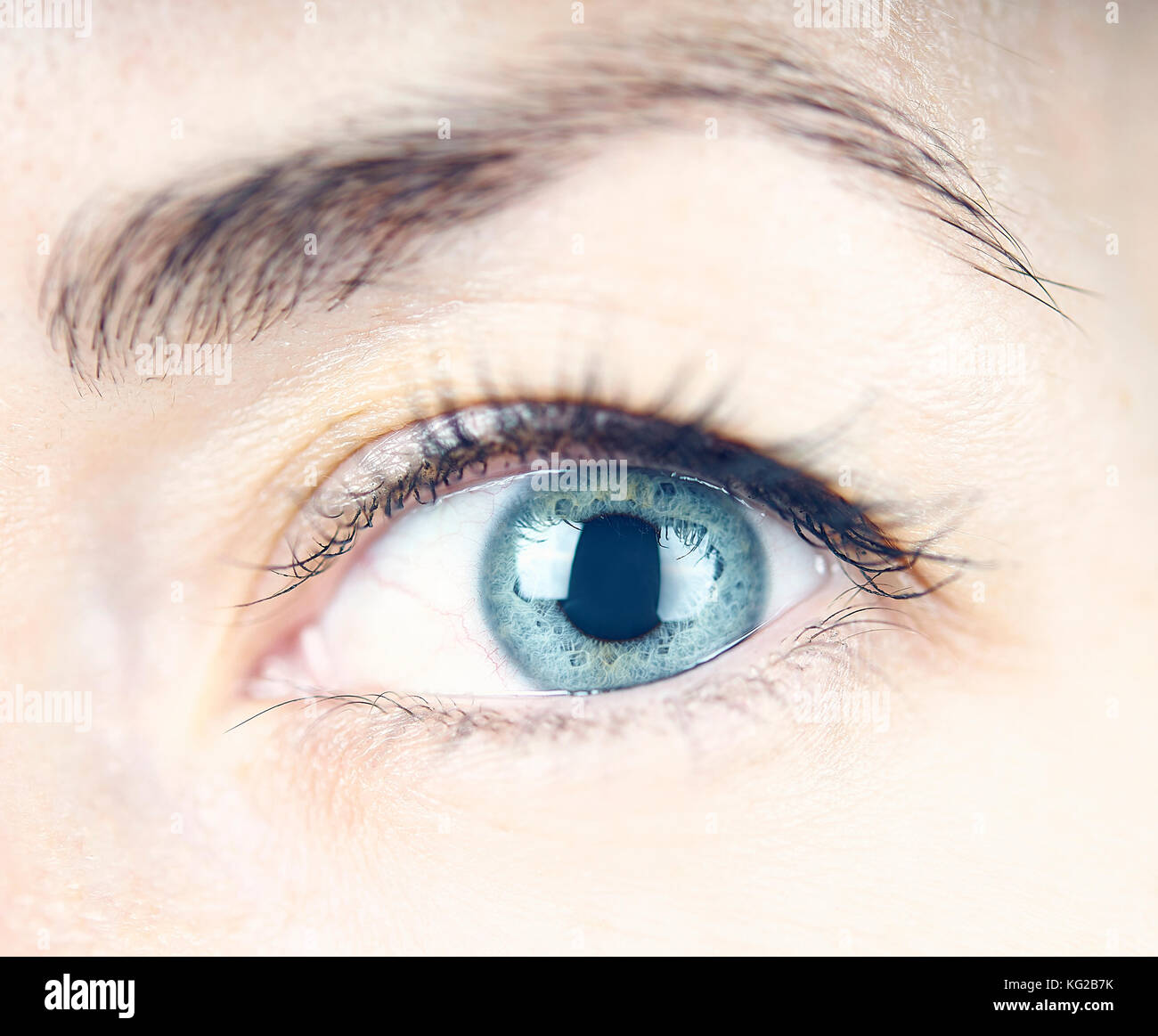 female blue eye close up Stock Photo - Alamy