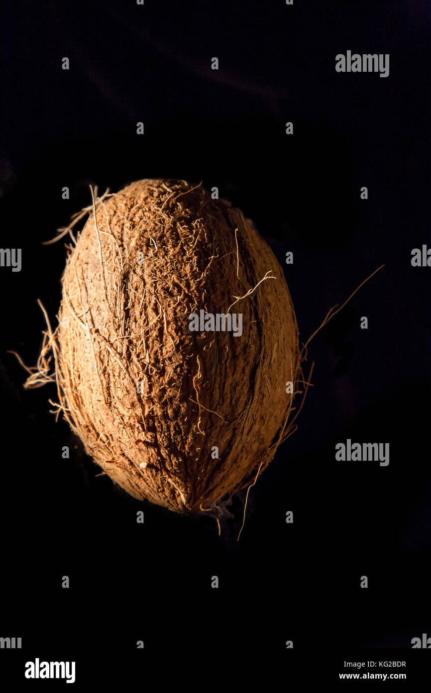 whole coconut on black background Stock Photo - Alamy