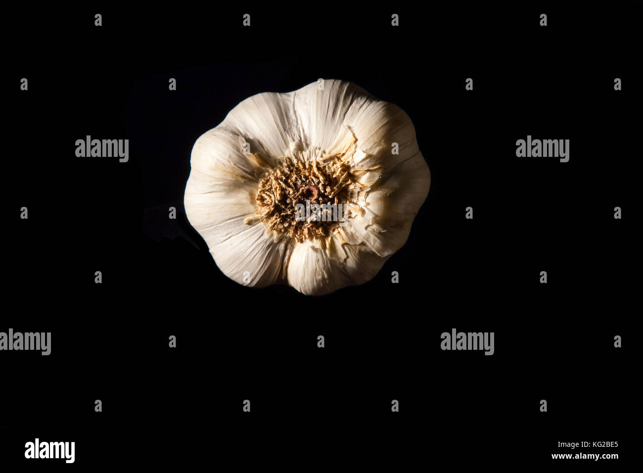 Entire base hi-res stock photography and images - Alamy