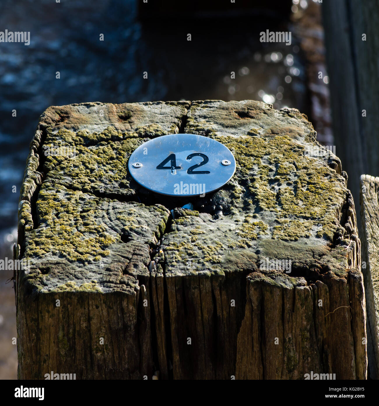 Number 42 forty two hi-res stock photography and images - Alamy