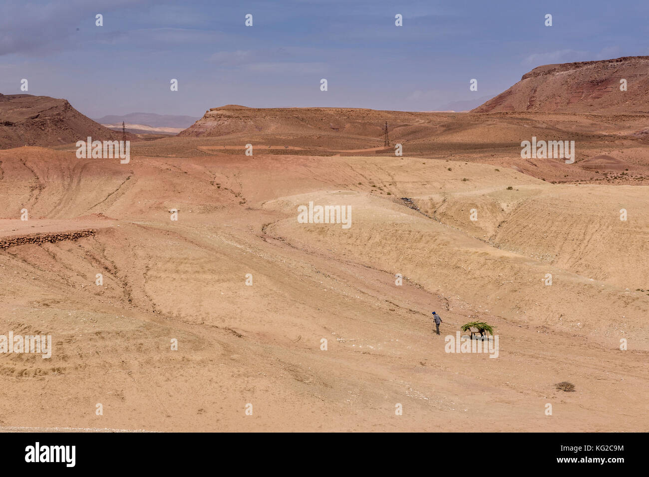 Ait-Ben-Haddou, Morocco, 17 October, 2017: Berber encourages his loaded ...