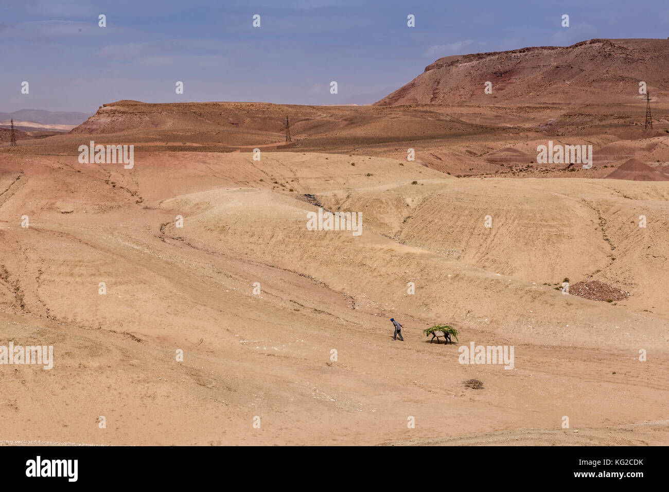 Ait-Ben-Haddou, Morocco, 17 October, 2017: Berber encourages his loaded ...